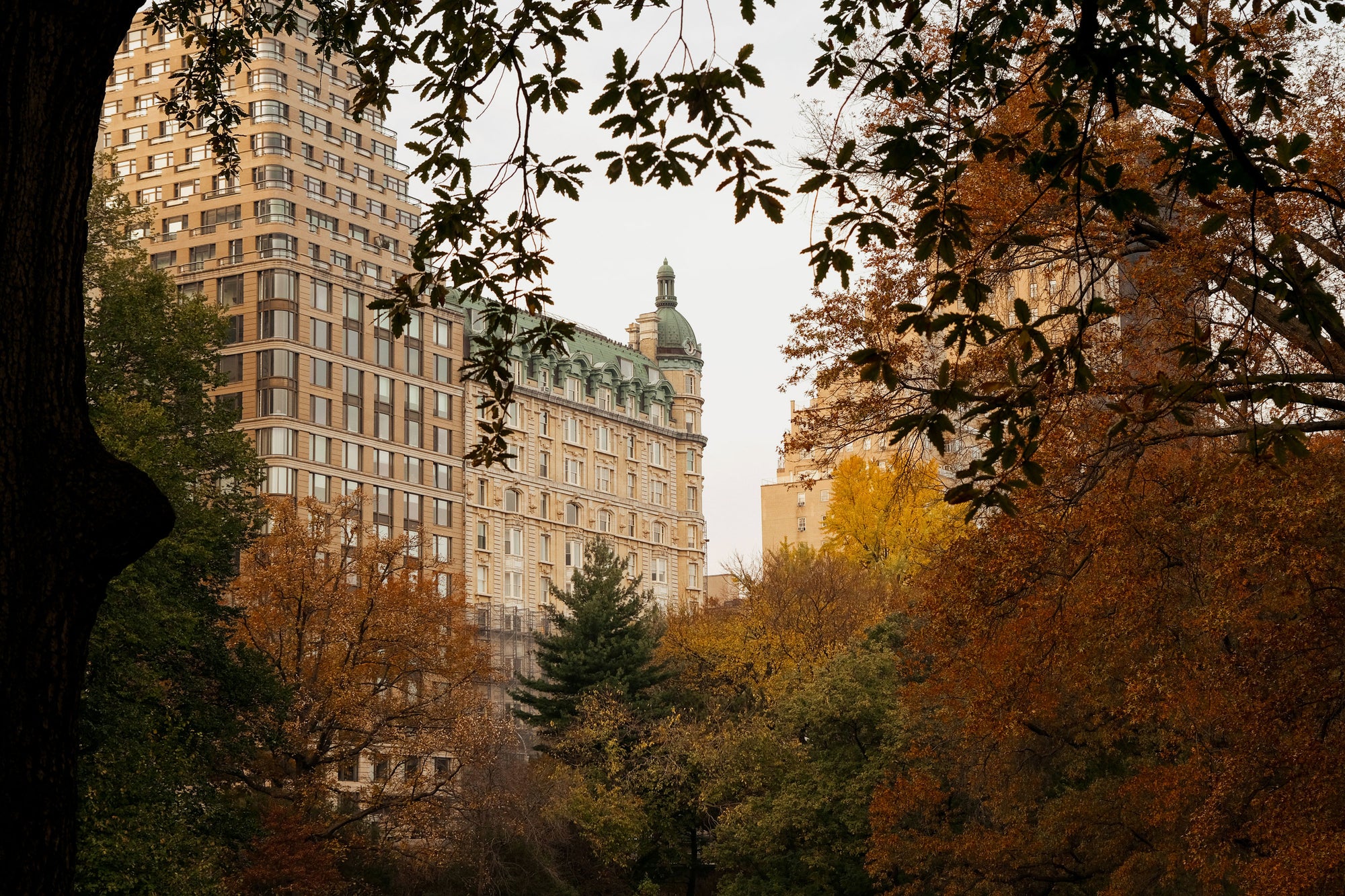 Ethan Barber - New York City Photographer – ethanbarber.co