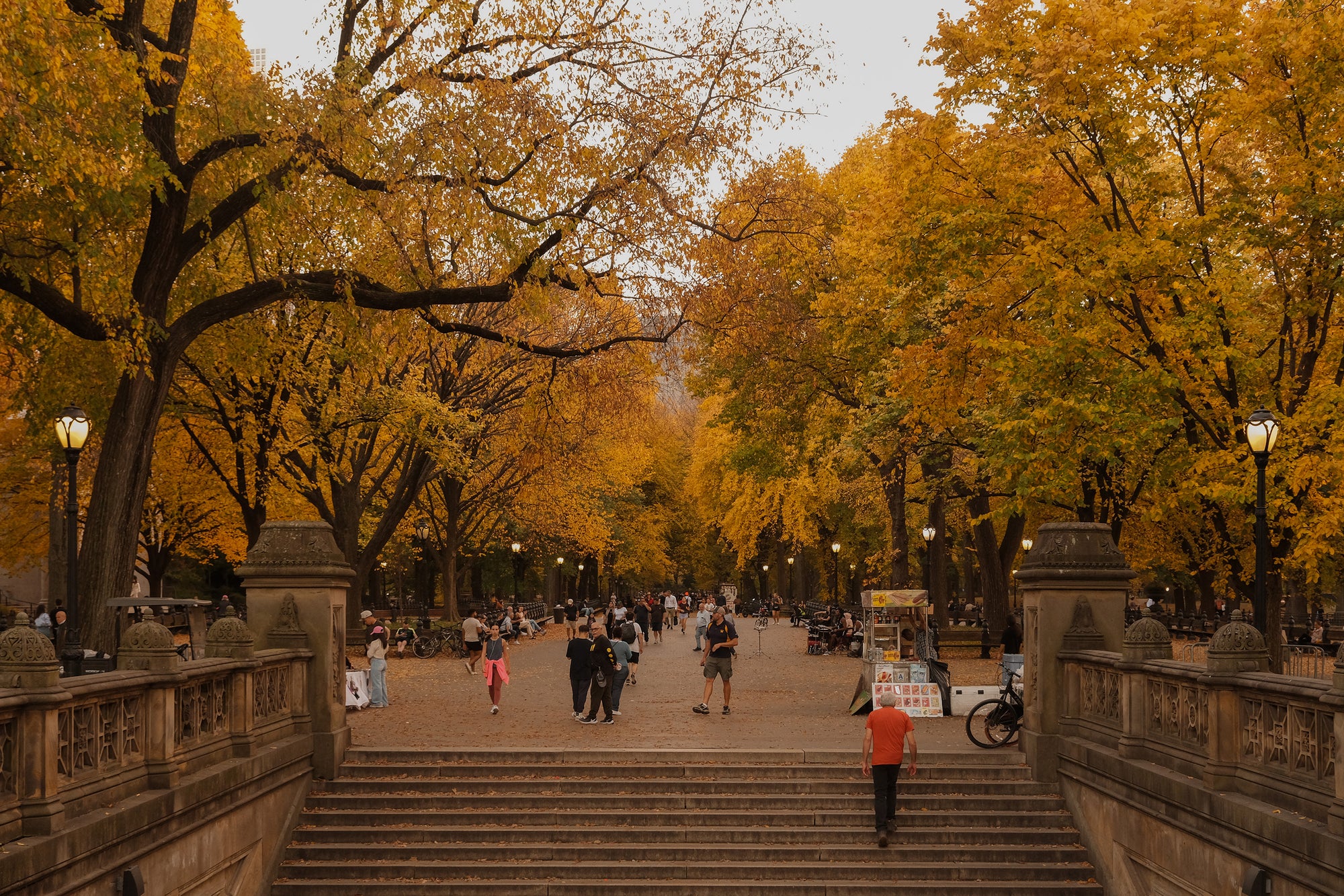 Ethan Barber - New York City Photographer & Videographer – ethanbarber.co